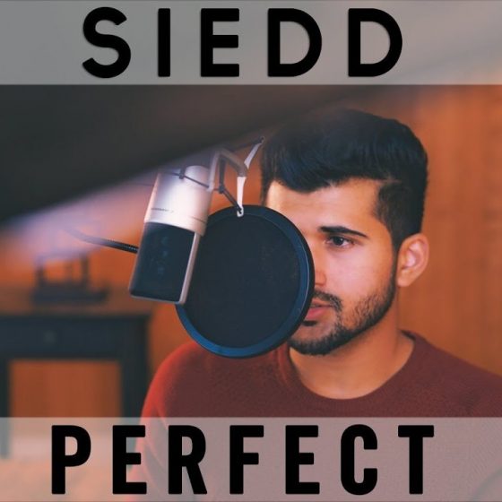 Siedd | Artists